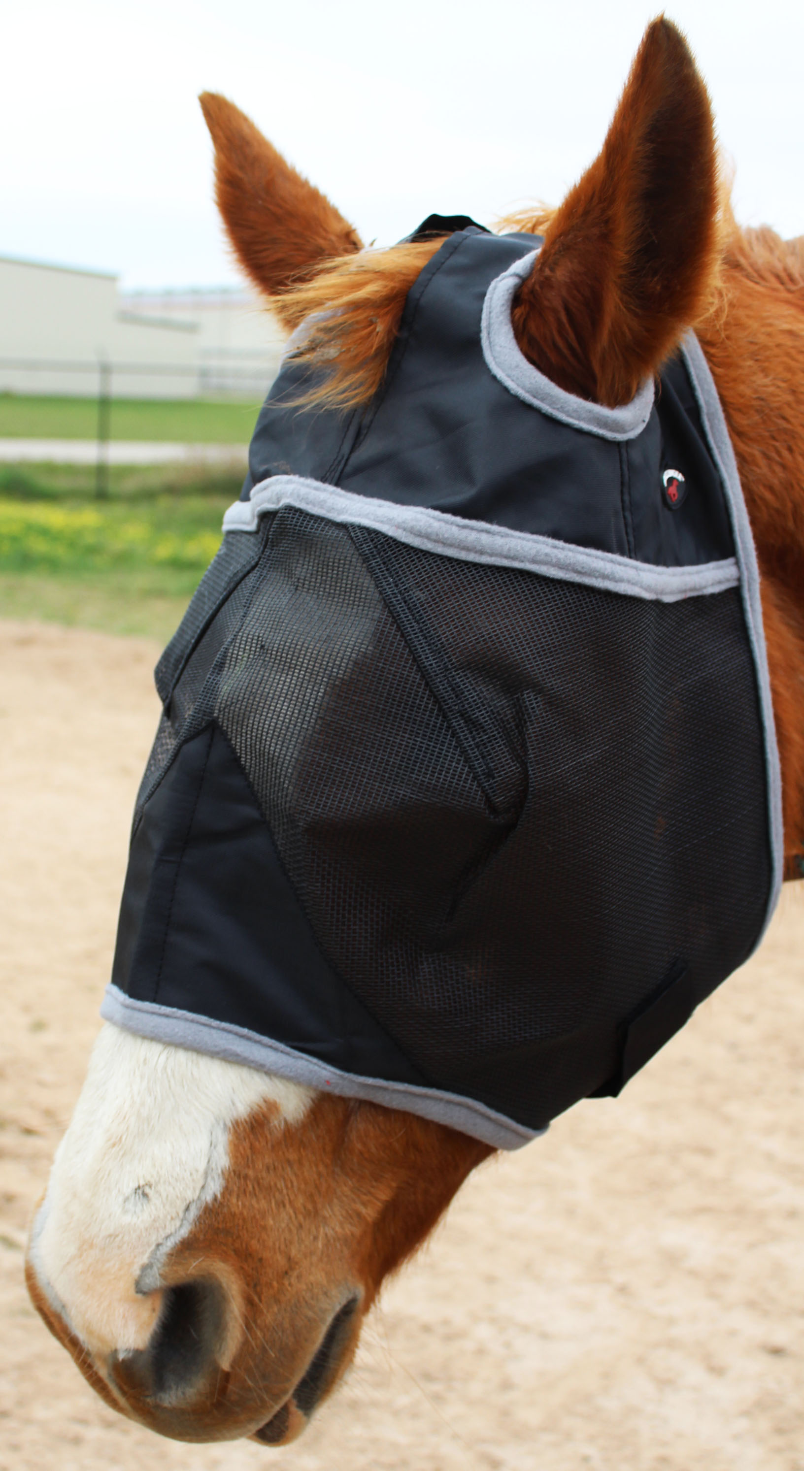 Equine Horse FlyMask Summer Spring Airflow Mesh 732102 | eBay
