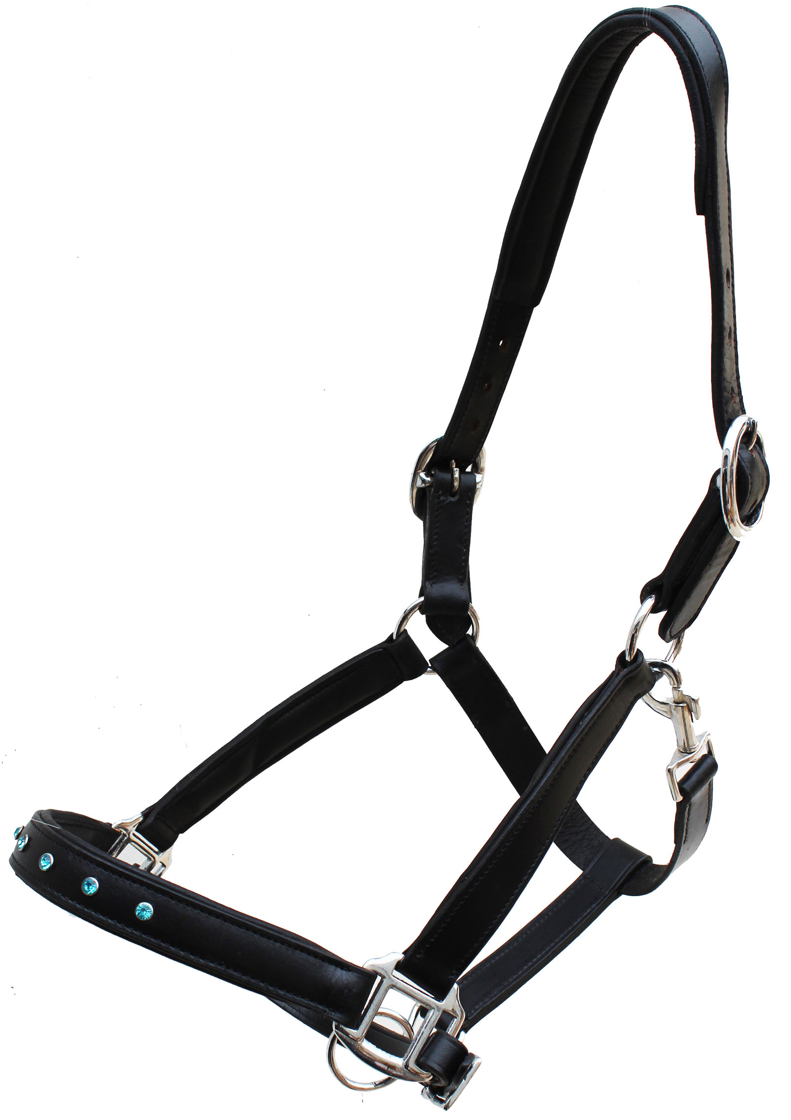 Leather Padded Show Halter w/ Turquoise Rhinestones 805LH01 | eBay