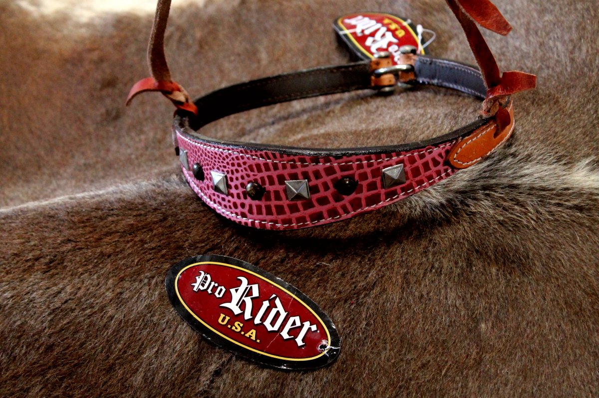 Horse Horse Show Bridle Western Leather Barrel Racing Tack Rodeo ...